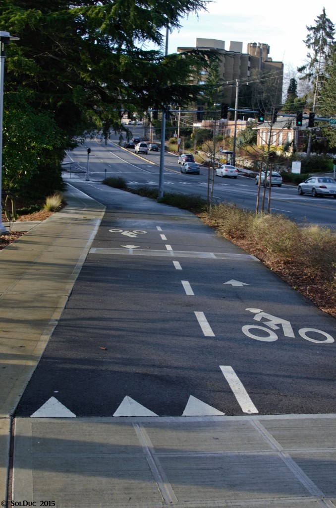 Hitting all of Seattle’s Protected Bike Lanes in one ride » The Urbanist