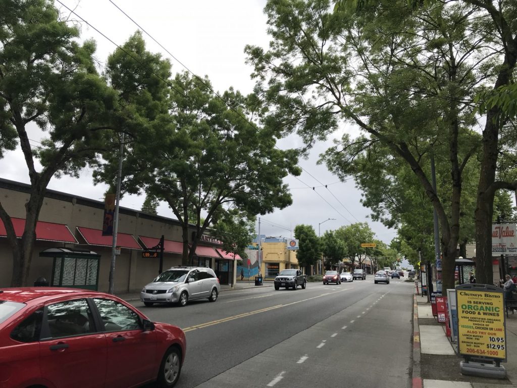 Seattle Considers Greater Tree Planting and Preservation Measures - The ...