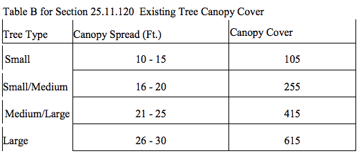 Council Appears Poised to Act on Tree Canopy Protections » The Urbanist