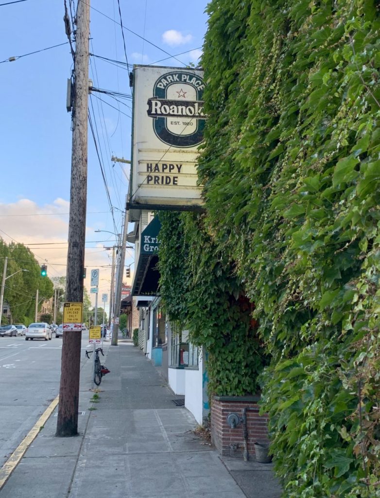 520 Portage Bay Bridge and Roanoke Lid Design Process Is Advancing ...