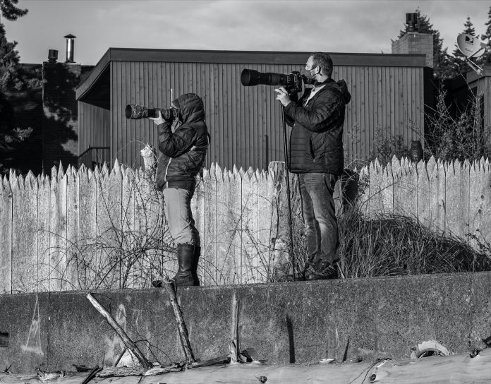 The Top 10 Street Ends of West Seattle » The Urbanist