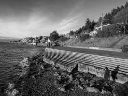 The Top 10 Street Ends of West Seattle » The Urbanist