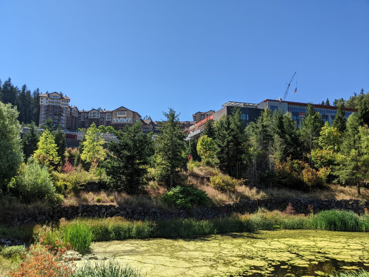 Fast Growing Issaquah Plans for More Density – and Sprawl » The Urbanist