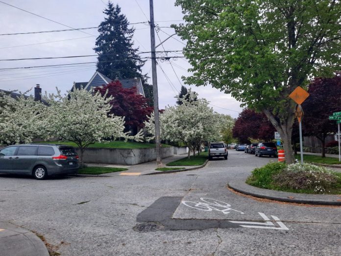 Will Sizzling Heat Finally Spur Seattle to Act on Tree Canopy ...