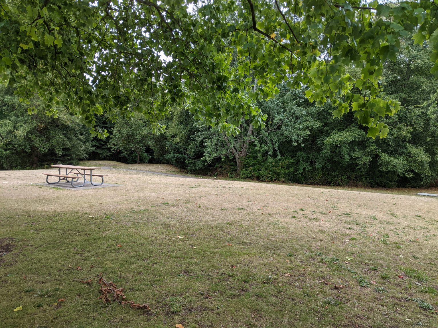 An Urbanist’s Destination Guide to the Northgate Station Area » The ...