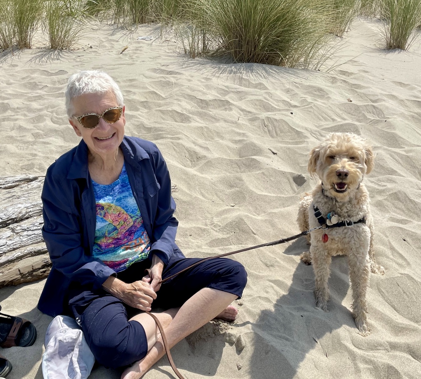 A Reflection on the “Forbidden Houses” of Bothell - The Urbanist