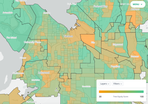 Tree Canopy Analysis Shows Tacoma Rezone Critics Exaggerate Concerns ...