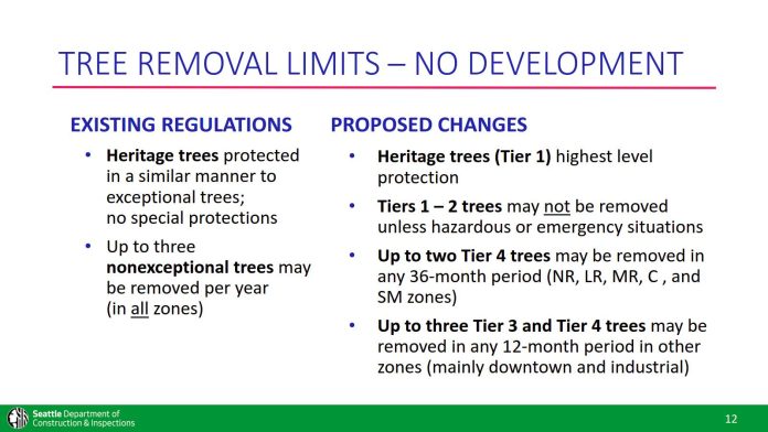 Proposed Tree Protection Ordinance Hopes to Grow Seattle’s Canopy » The ...