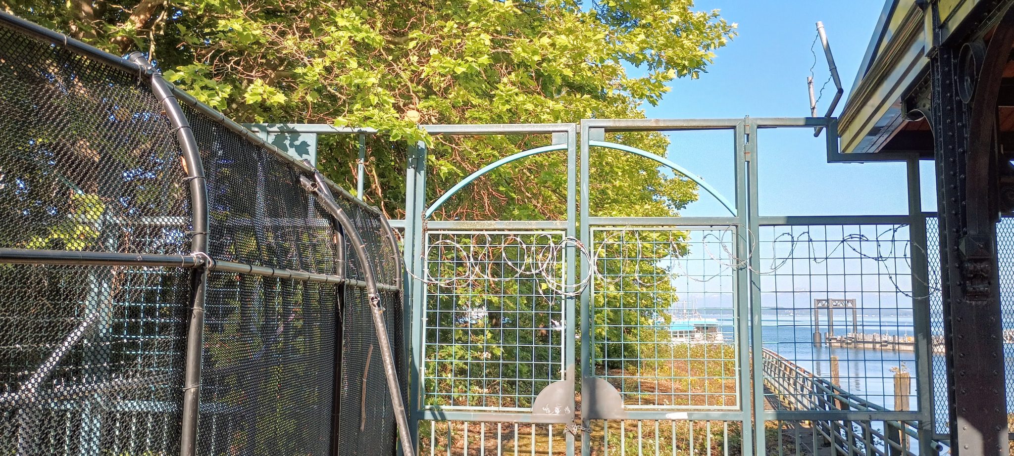 Kitsap Transit Considers Alternatives for a New Seattle Fast Ferry ...