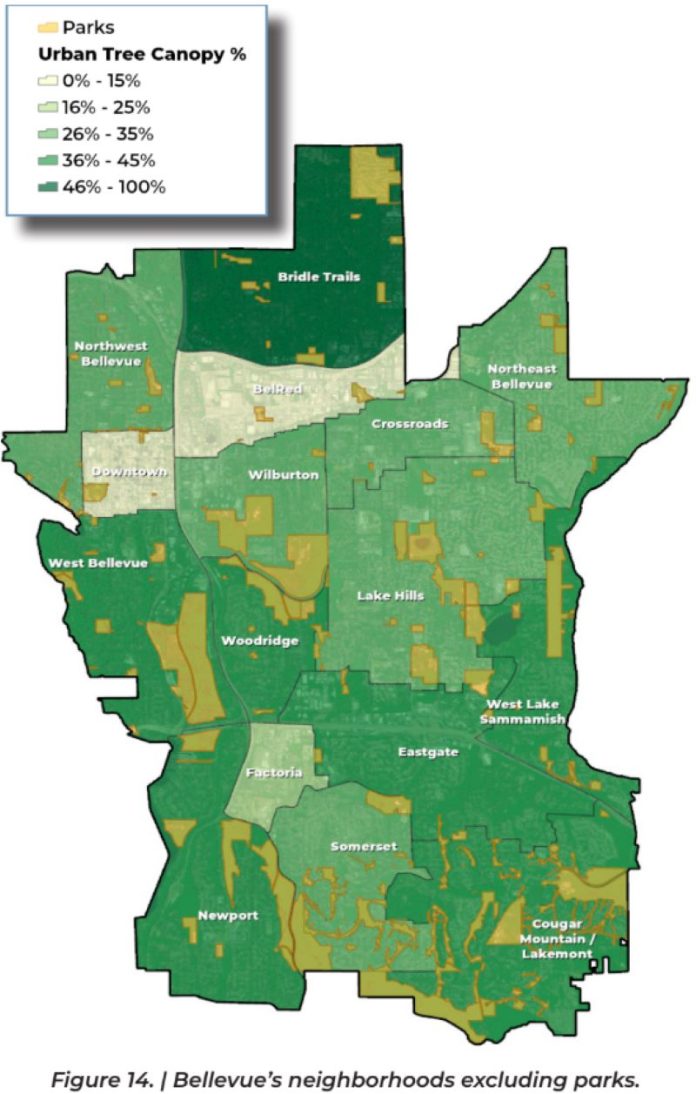 Op-Ed: Expanding Tree Canopy Is a Climate Solution and Livability Boost ...